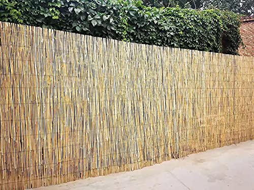 Abaseen Natural Split Reed Fence Hand-Woven Screening for Garden ...