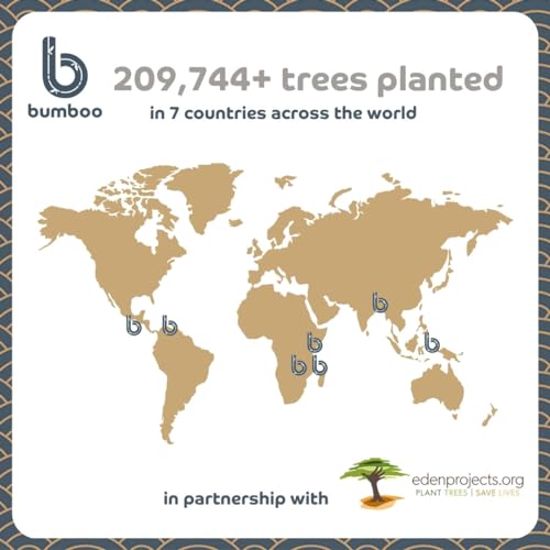 Bumboo |100% Bamboo Wrapped Kitchen Rolls | Pack of 12 Rolls (2-Ply ...